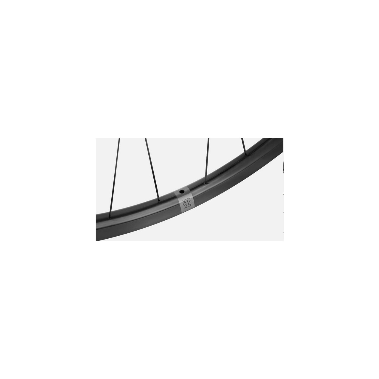 Beast - XC25 MTB Carbon Felge 25mm - 27,5" (650b), 699,90